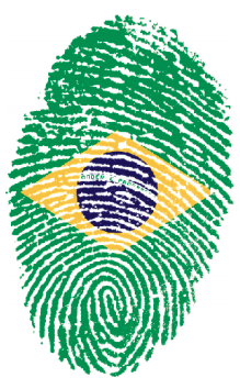 Brazilian Company Logo